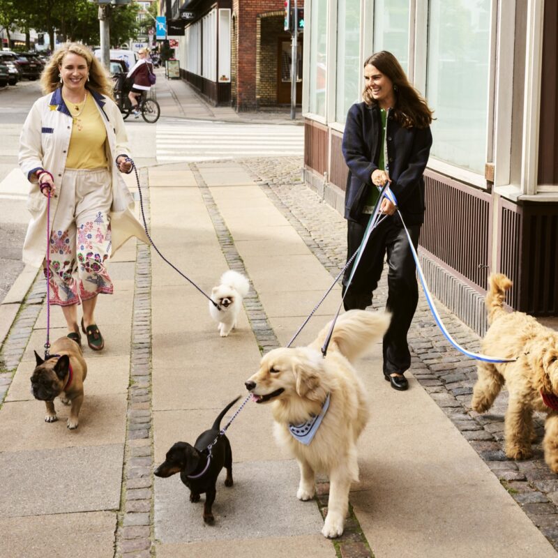 Hay Dogs Leash - Smuk Living